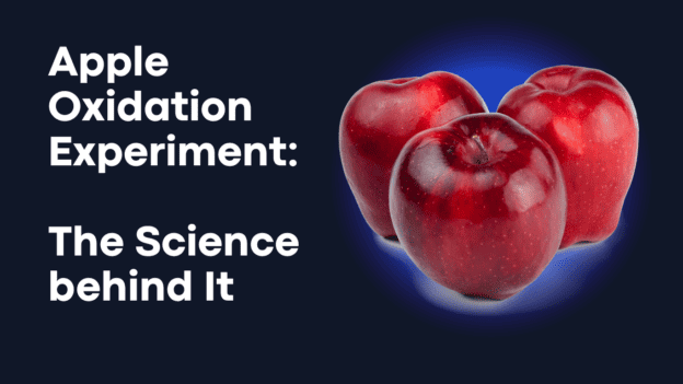 Science Experiments for Kids: Apple Oxidation Experiment – Connect Ed